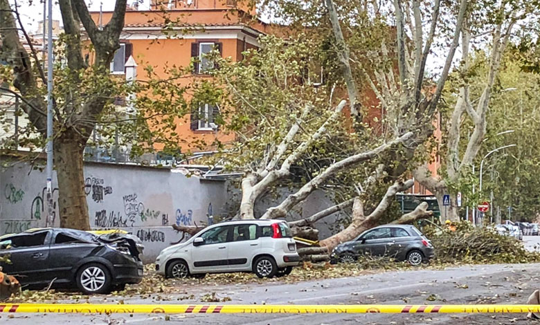 Roma sferzata dal vento a oltre 100 chilometri all'ora - RomaSette